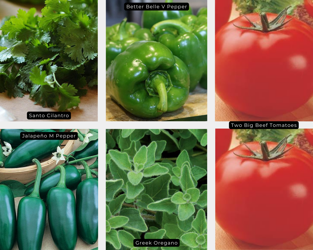 All Value Packs – Glenlea Greenhouses