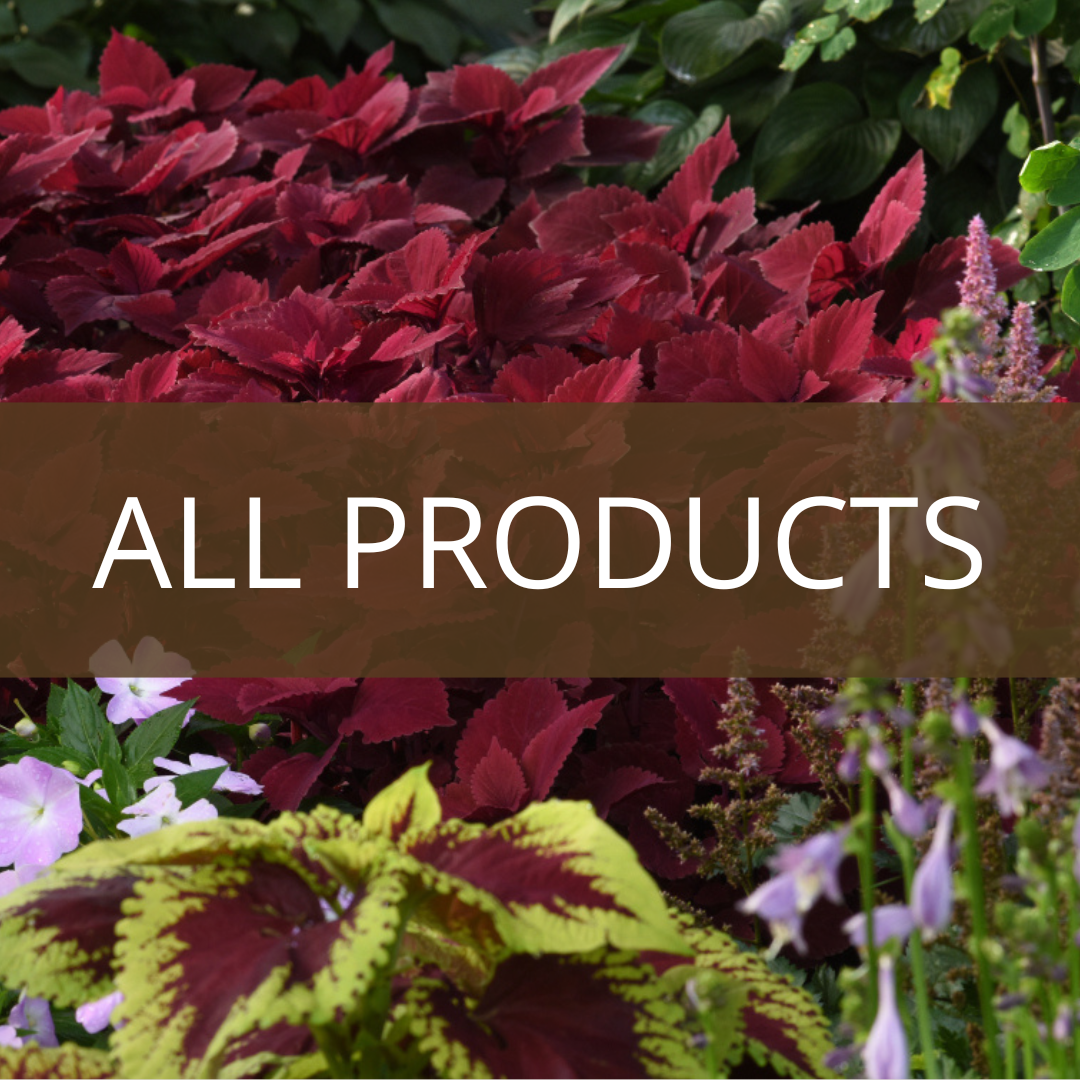 All Tropical Plants – Glenlea Greenhouses